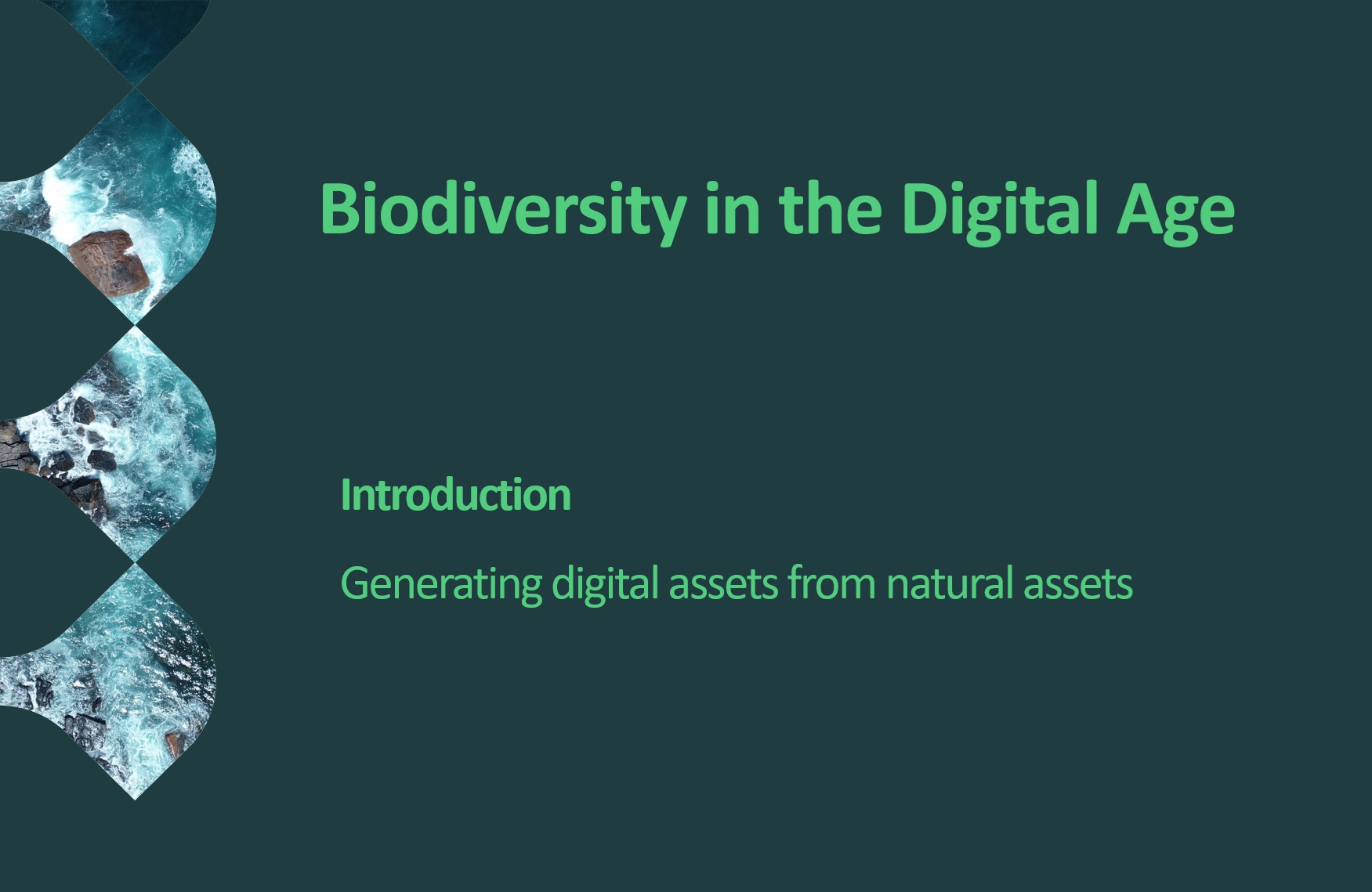 Generating digital assets from natural assets - Ecocene